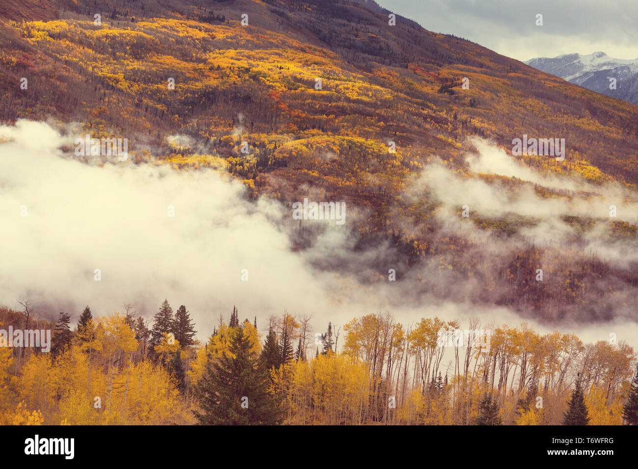 Autumn in Colorado Stock Photo - Alamy