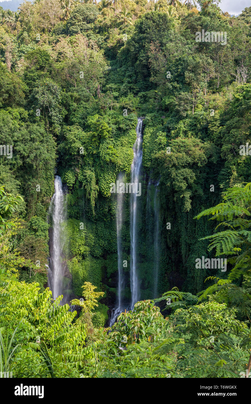 View of Sekumpul Falls in the rainforest, Bali, Indonesia Stock Photo ...