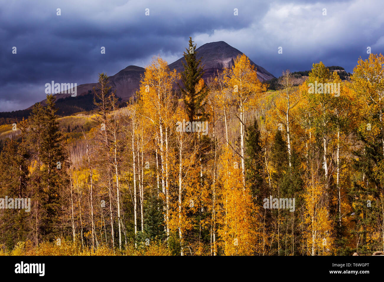 Autumn in Colorado Stock Photo - Alamy