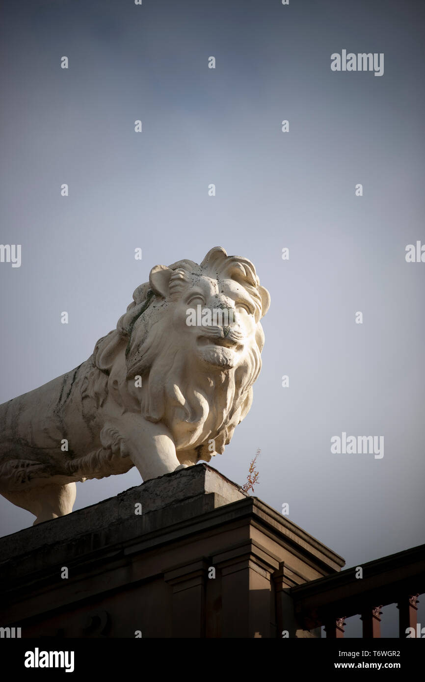Huddersfield, West Yorkshire, UK, October 2013, lion statue on Lion ...
