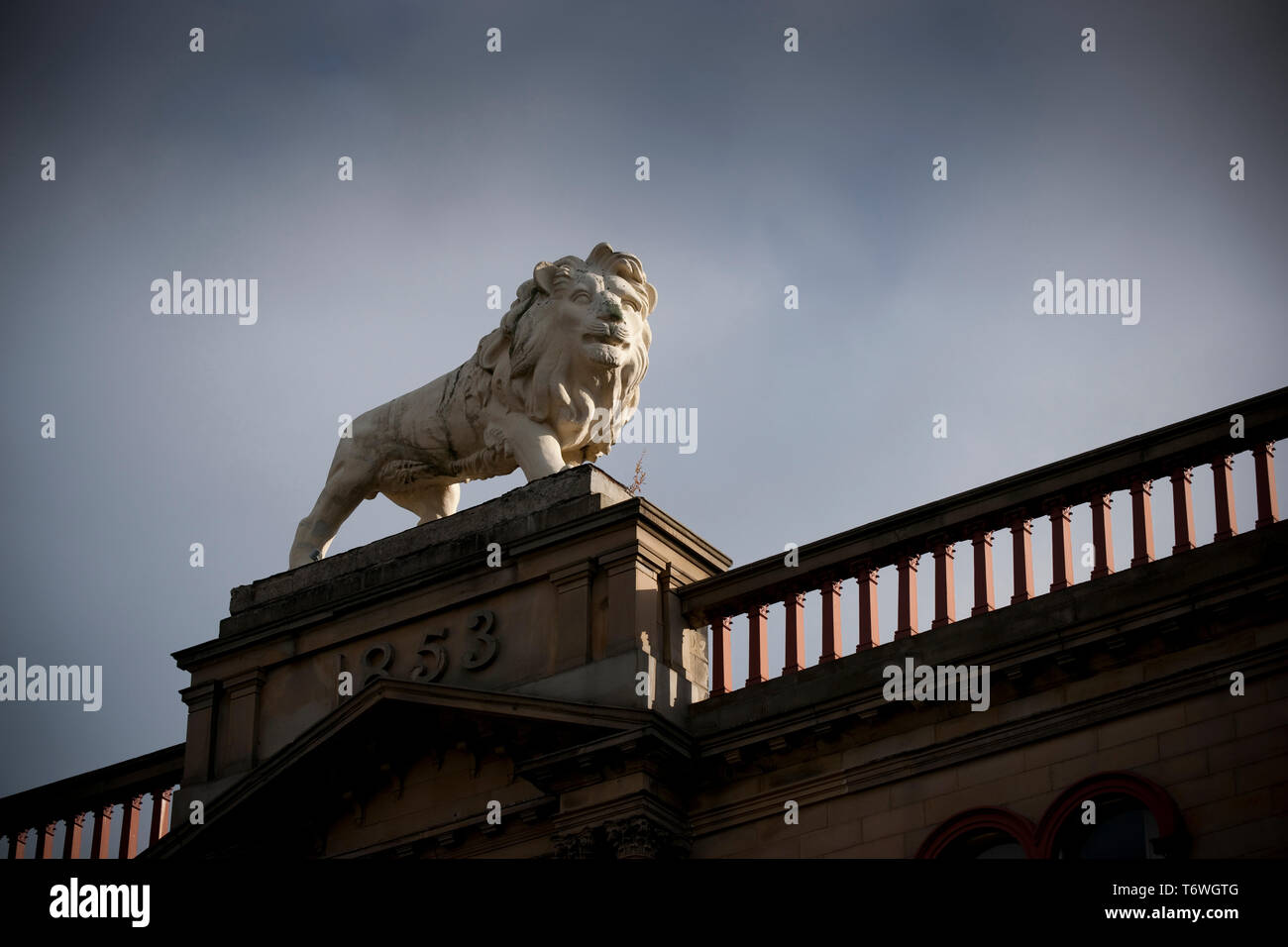 Huddersfield, West Yorkshire, UK, October 2013, lion statue on Lion ...