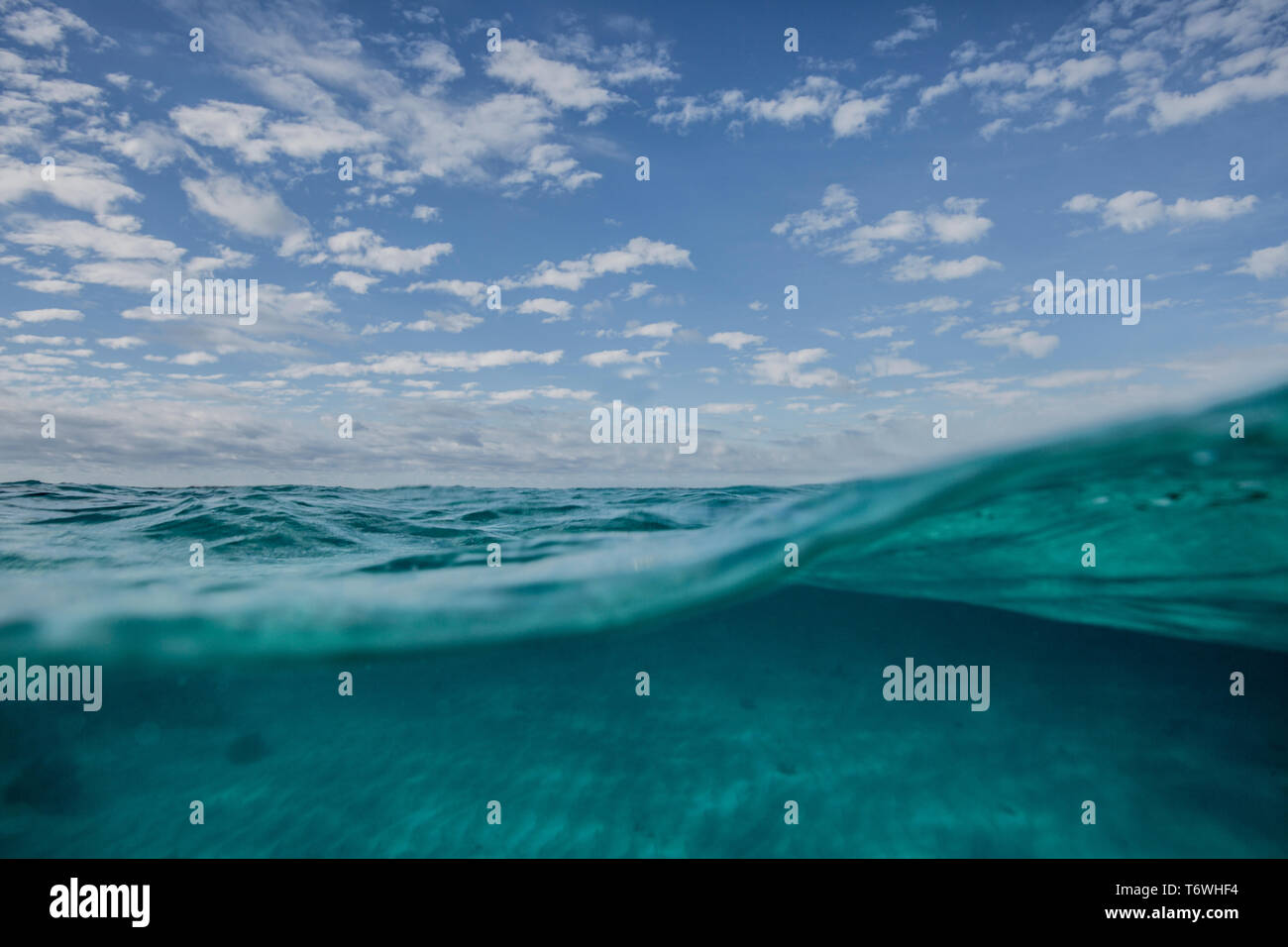Blue waterline hi-res stock photography and images - Alamy