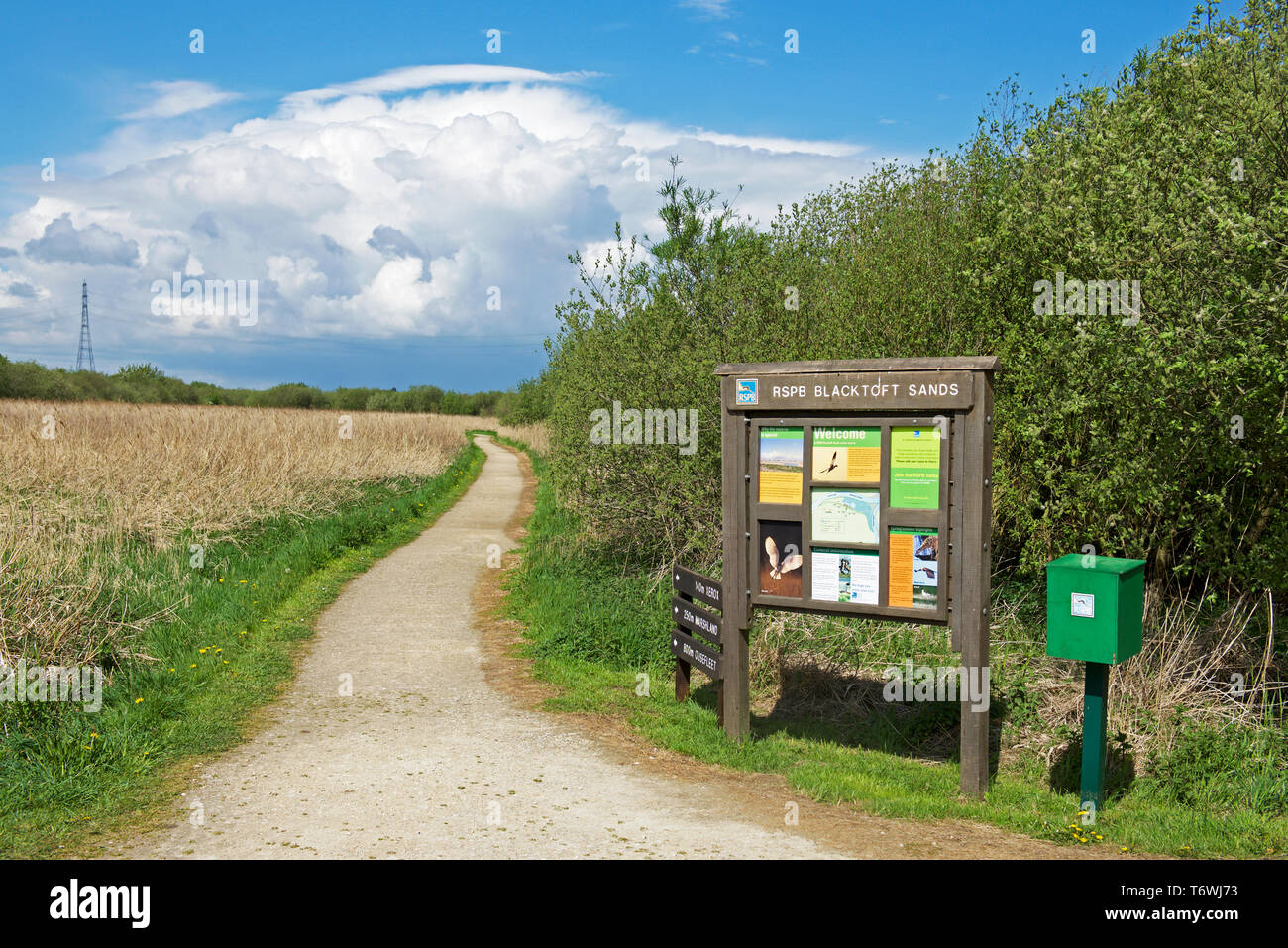 Information panel at Blacktoft Sands, RSPB Nature Reserve, East ...