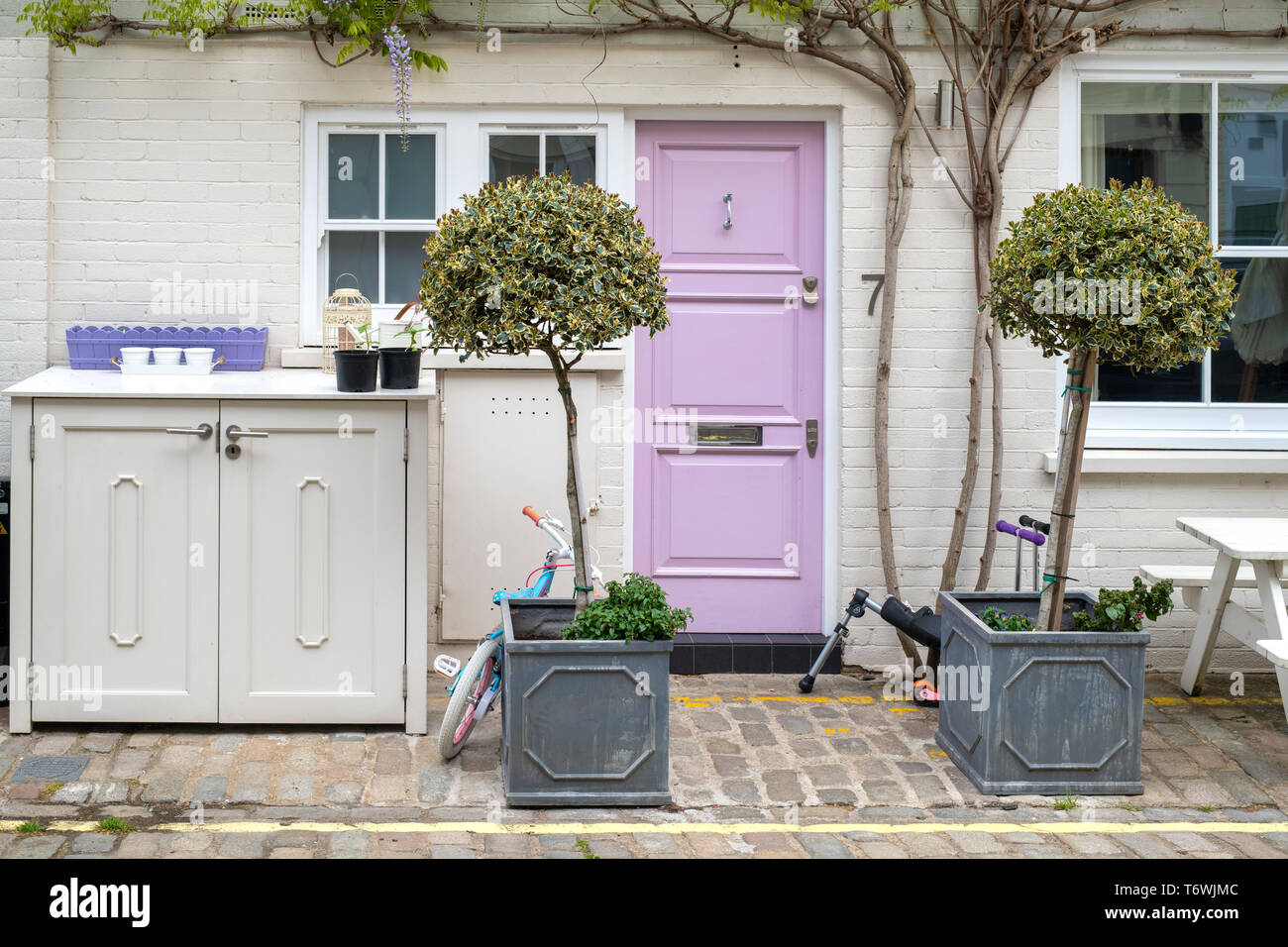 Shrubs in containers outside a house in Radnor Mews, Bayswater, London ...