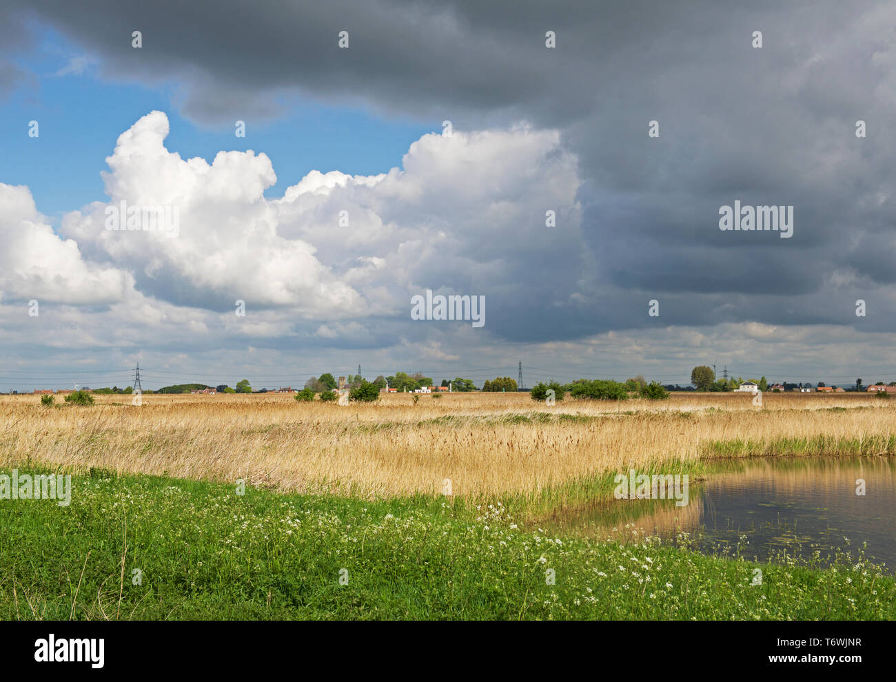 Blacktoft Sands, RSPB Nature Reserve, East Yorkshire, England UK Stock ...