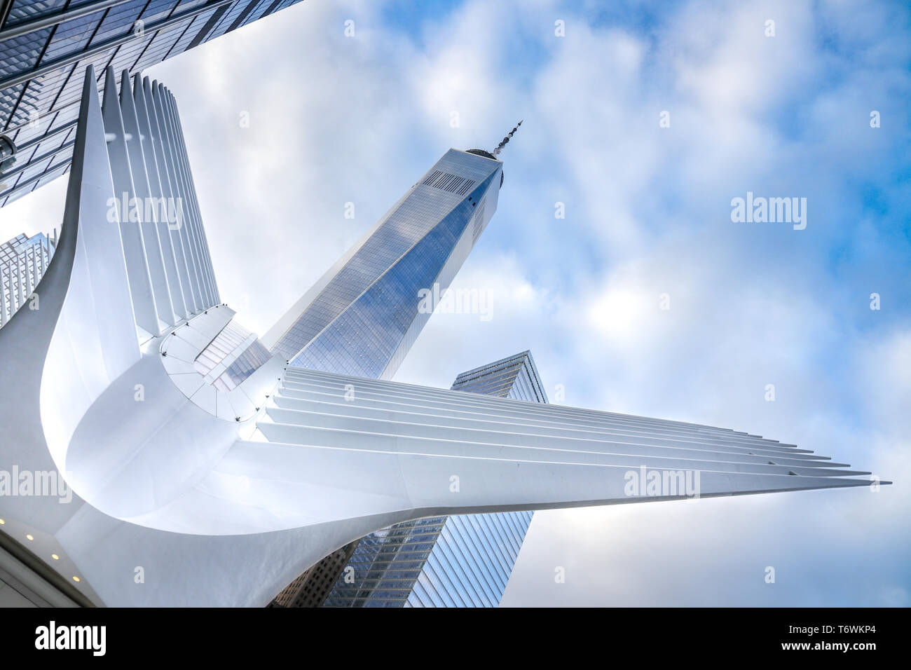 Unique point of view hi-res stock photography and images - Alamy