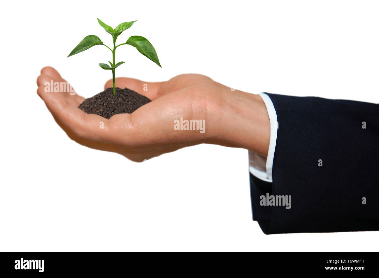 Hand plant hi-res stock photography and images - Alamy