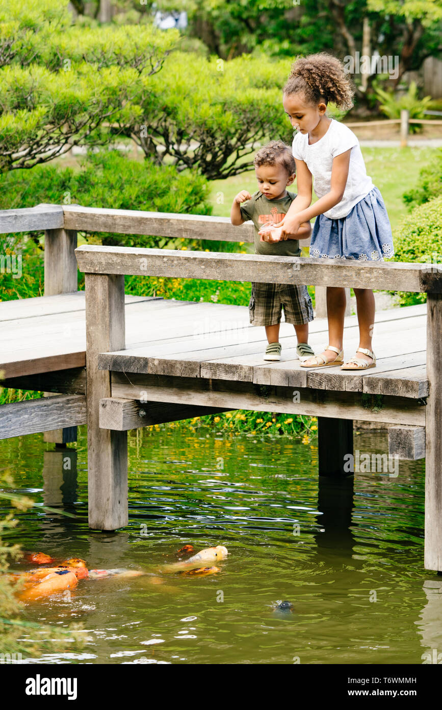 A young boy and girl feed the koi fish at a public park Stock Photo - Alamy
