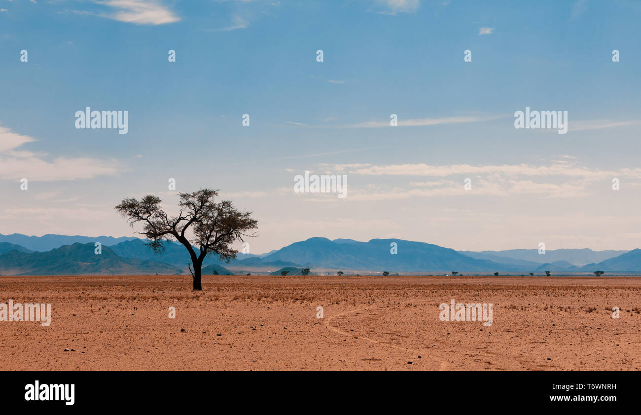 Namibian desert landscape scene hi-res stock photography and images - Alamy