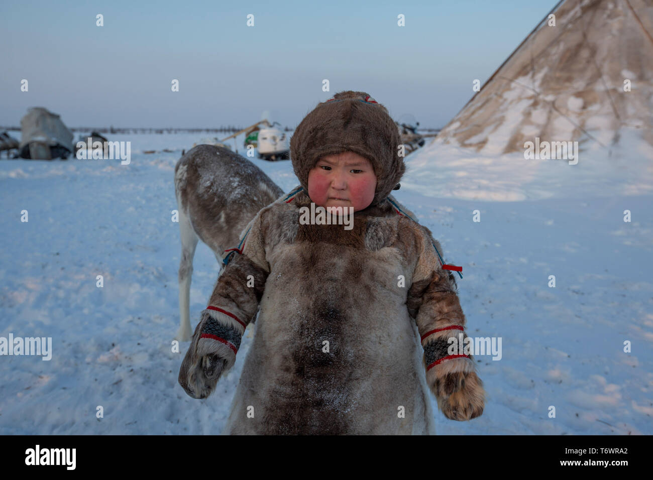 Russia, Yamal-Nenets Autonomous Region, Yamal peninsula, Nenets ...