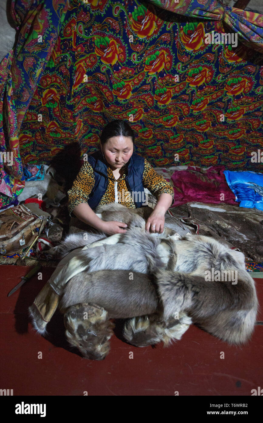 Russia, Yamal-Nenets Autonomous Region, Yamal peninsula. Nomadic Nenets ...