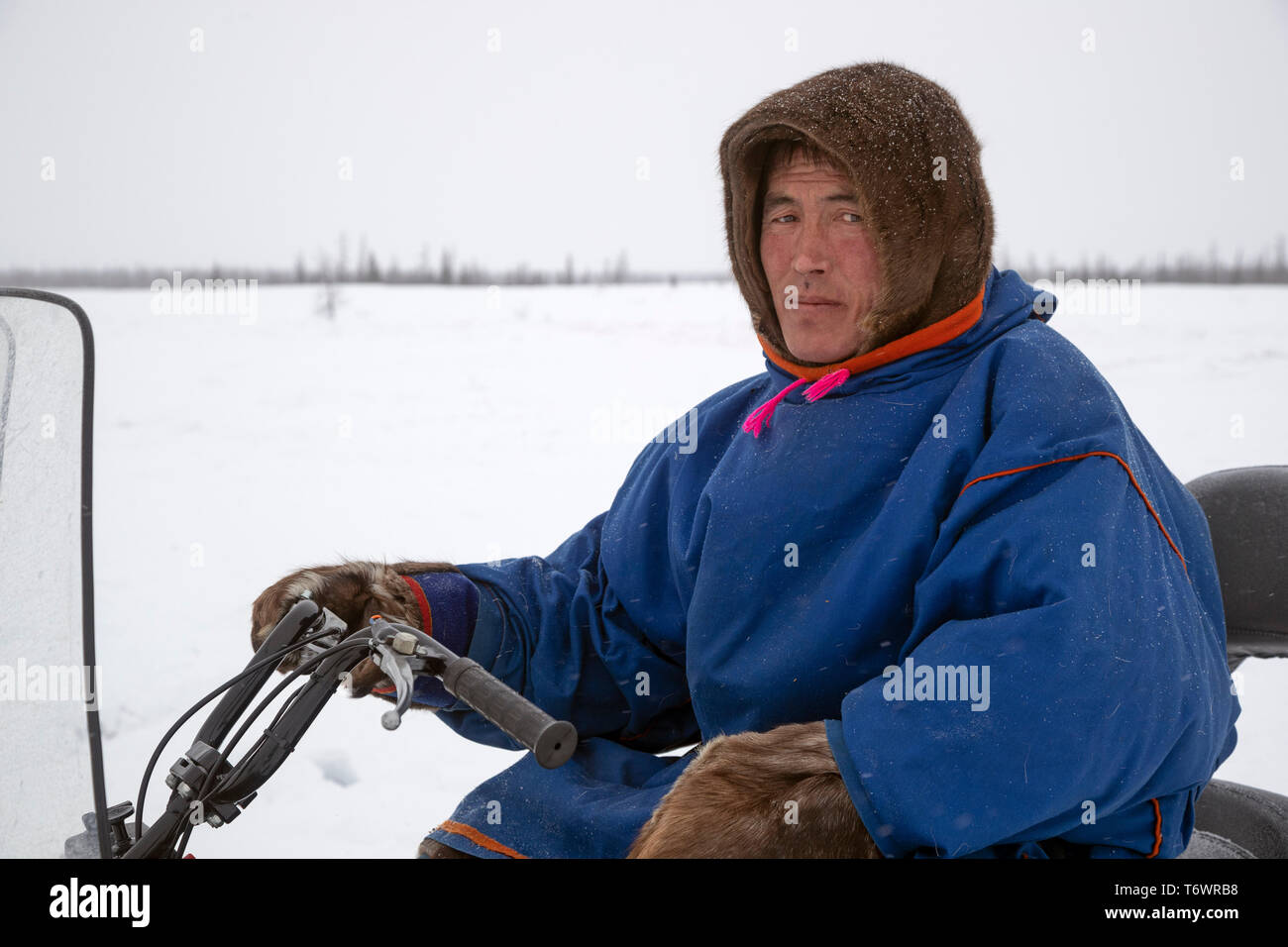 Russia, Yamal-Nenets Autonomous Region, Yamal peninsula, Nenets ...