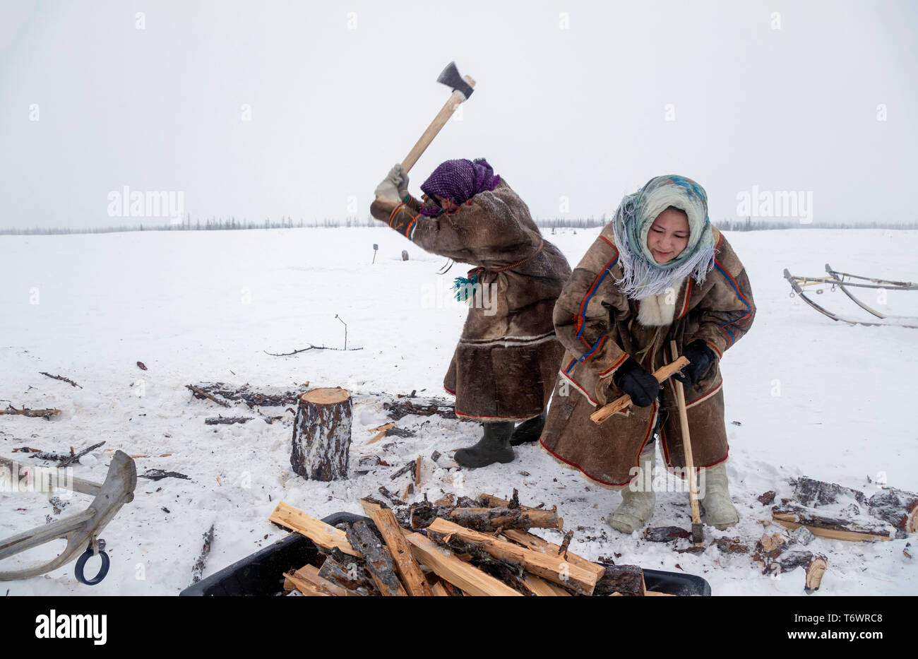 Russia, Yamal-Nenets Autonomous Region, Yamal peninsula, Nenets ...
