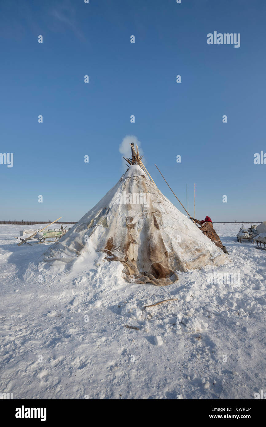 Yamal autonomous district hi-res stock photography and images - Alamy