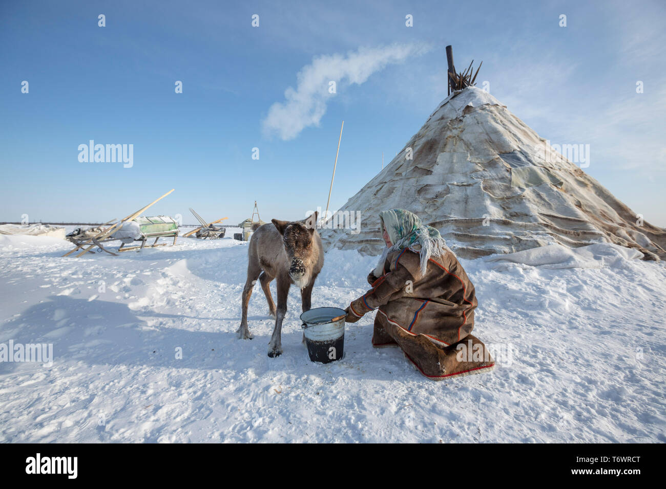 Russia, Yamal-Nenets Autonomous Region, Yamal peninsula, Nenets ...