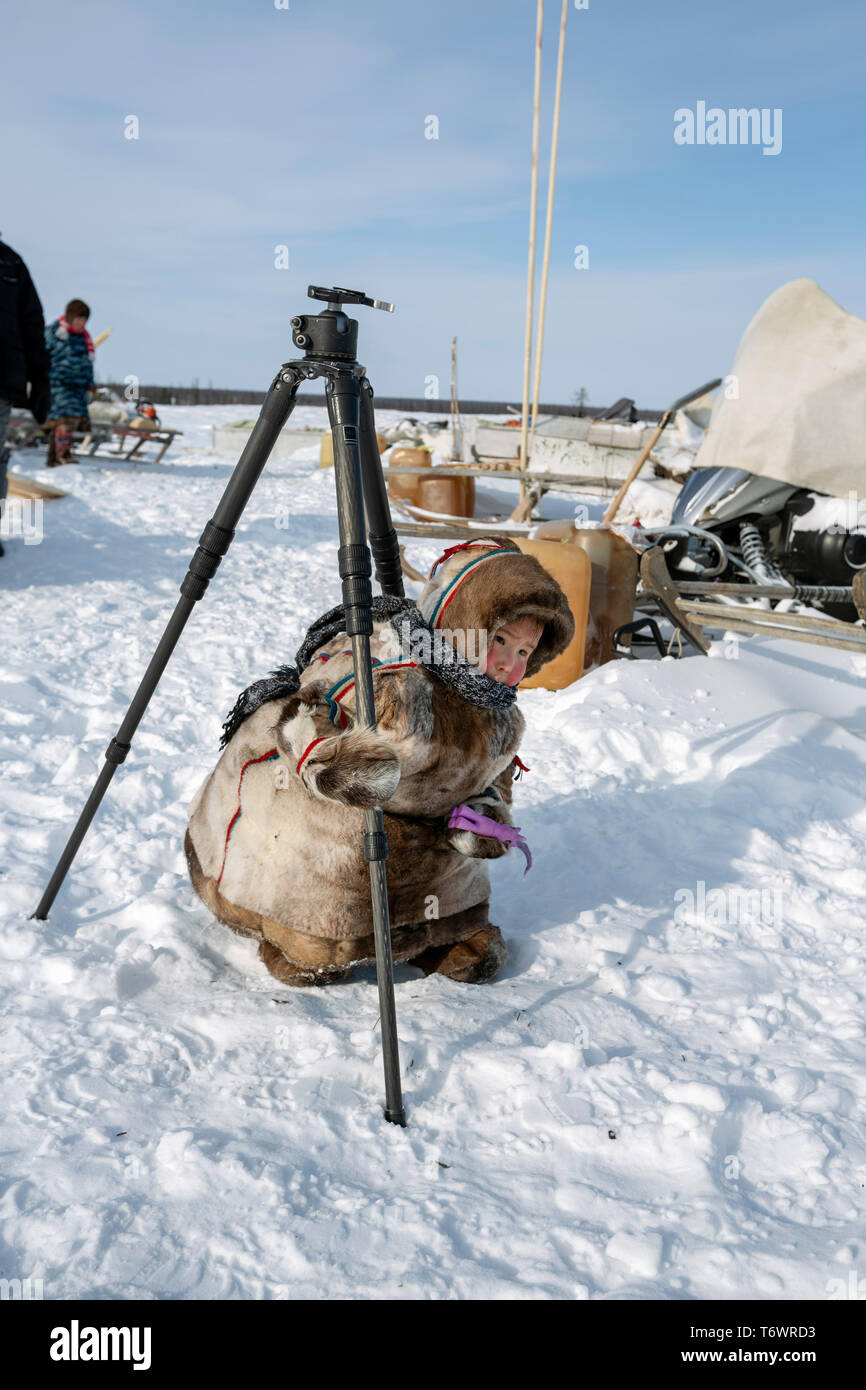 Russia, Yamal-Nenets Autonomous Region, Yamal peninsula. Nomadic Nenets ...