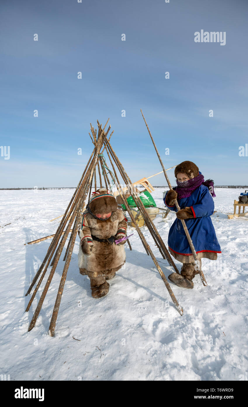 Russia, Yamal-Nenets Autonomous Region, Yamal peninsula, Nenets ...