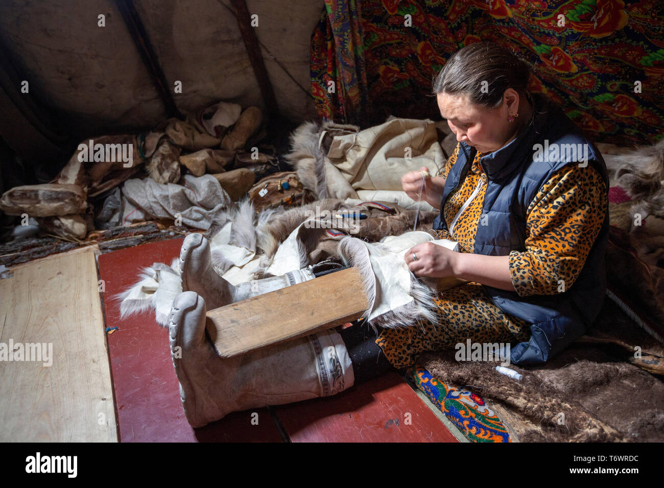 Russia, Yamal-Nenets Autonomous Region, Yamal peninsula. Nomadic Nenets ...
