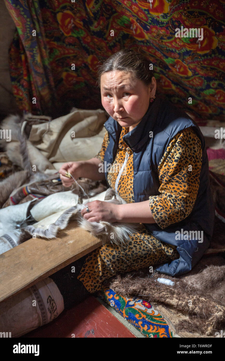 Russia, Yamal-Nenets Autonomous Region, Yamal peninsula. Nomadic Nenets ...