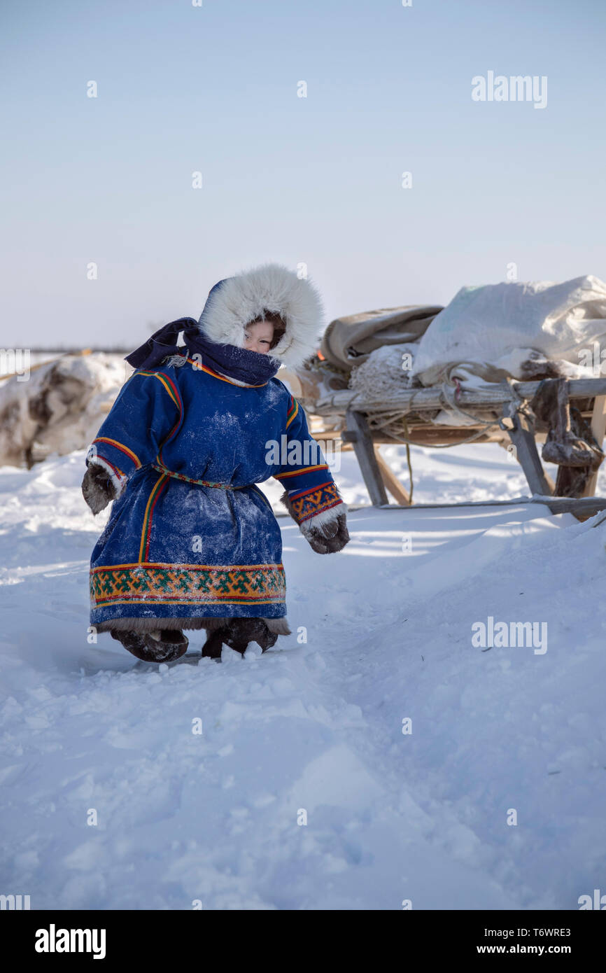Russia, Yamal-Nenets Autonomous Region, Yamal peninsula. Nomadic Nenets ...