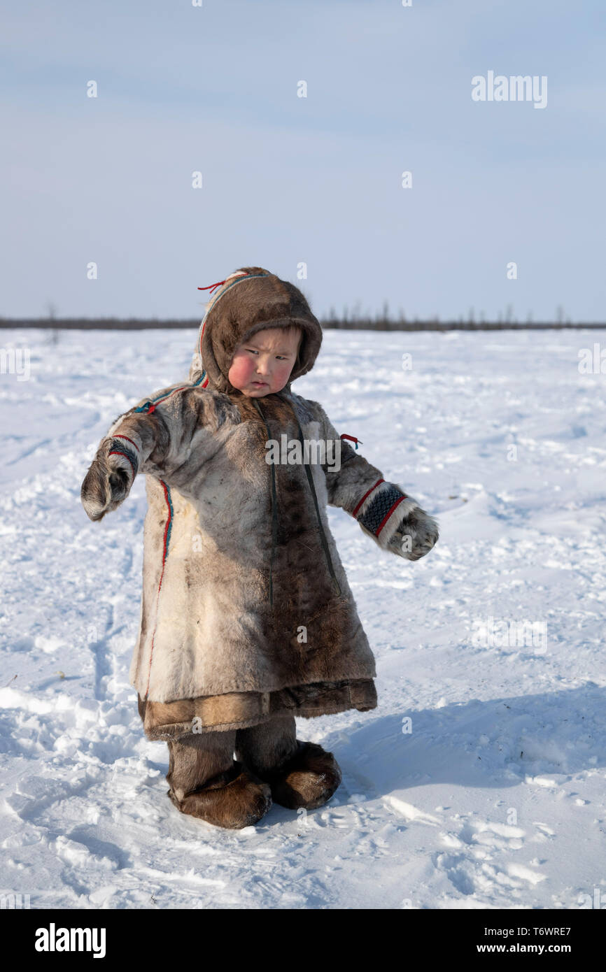 Russia, Yamal-Nenets Autonomous Region, Yamal peninsula. Nomadic Nenets ...