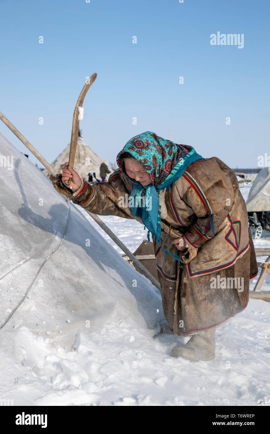 Russia, Yamal-Nenets Autonomous Region, Yamal peninsula, Nenets ...