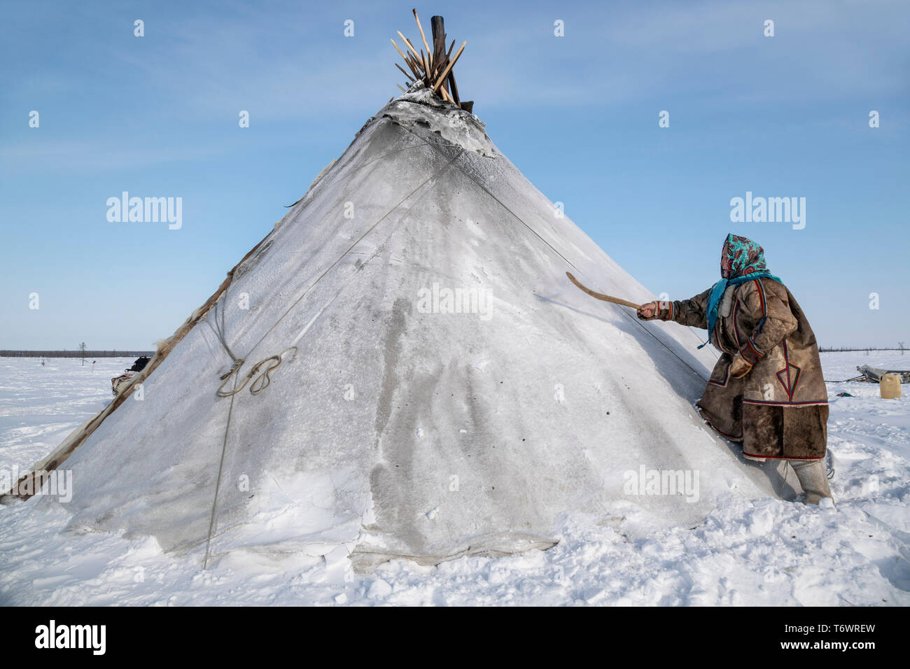 Russia, Yamal-Nenets Autonomous Region, Yamal peninsula, Nenets ...