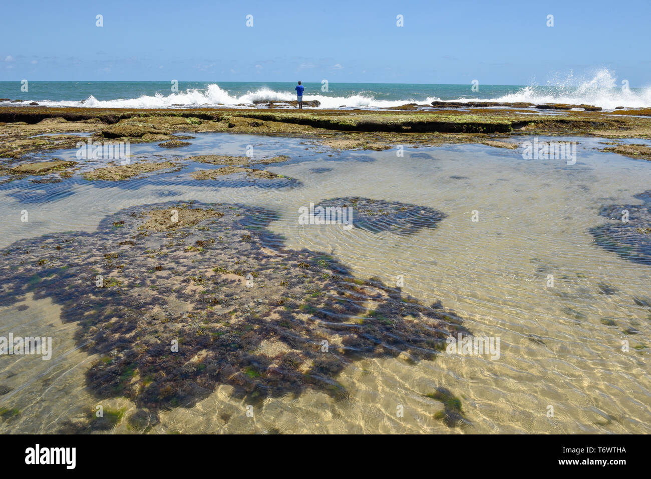 The natural pool at Sibauma near Pipa on Brazil Stock Photo - Alamy