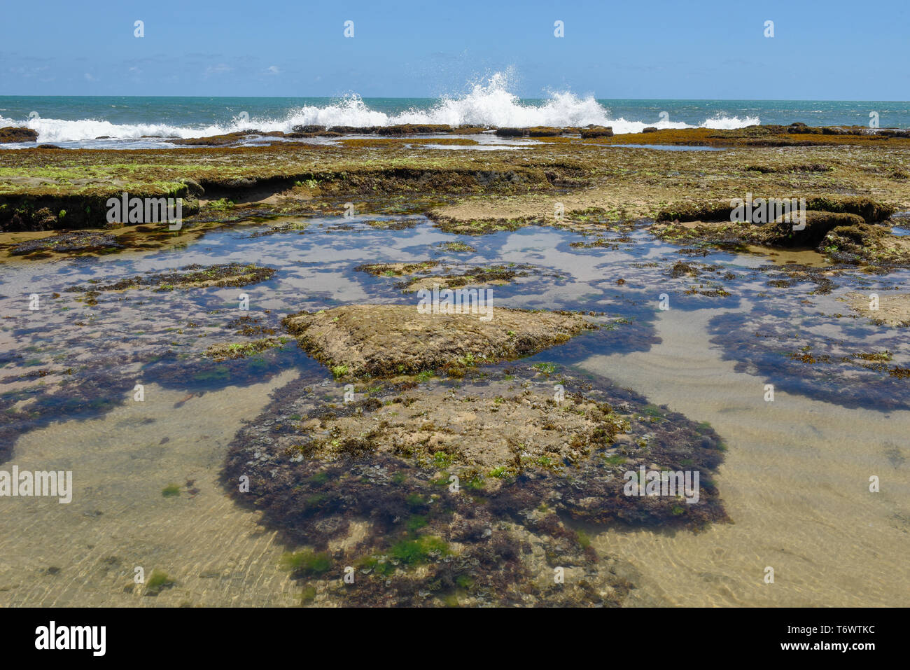 The natural pool at Sibauma near Pipa on Brazil Stock Photo - Alamy