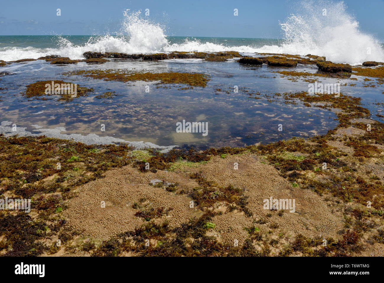 The natural pool at Sibauma near Pipa on Brazil Stock Photo - Alamy