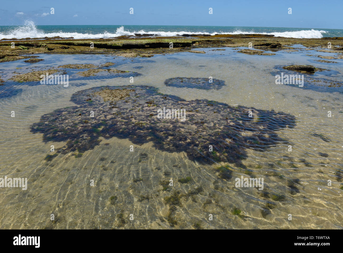 The natural pool at Sibauma near Pipa on Brazil Stock Photo - Alamy