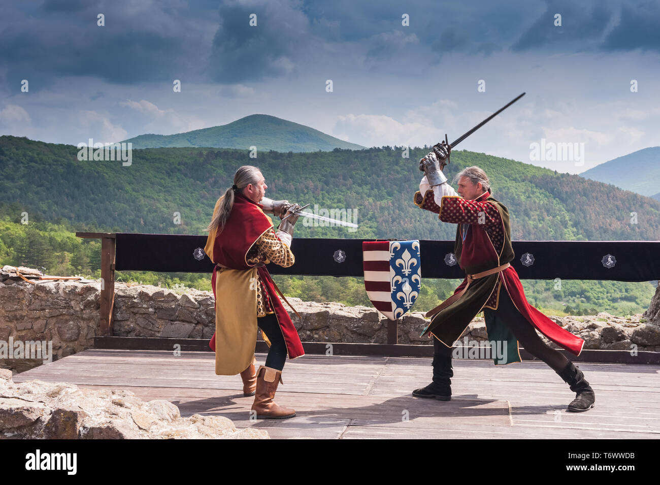 Medieval Swordsman Fighting