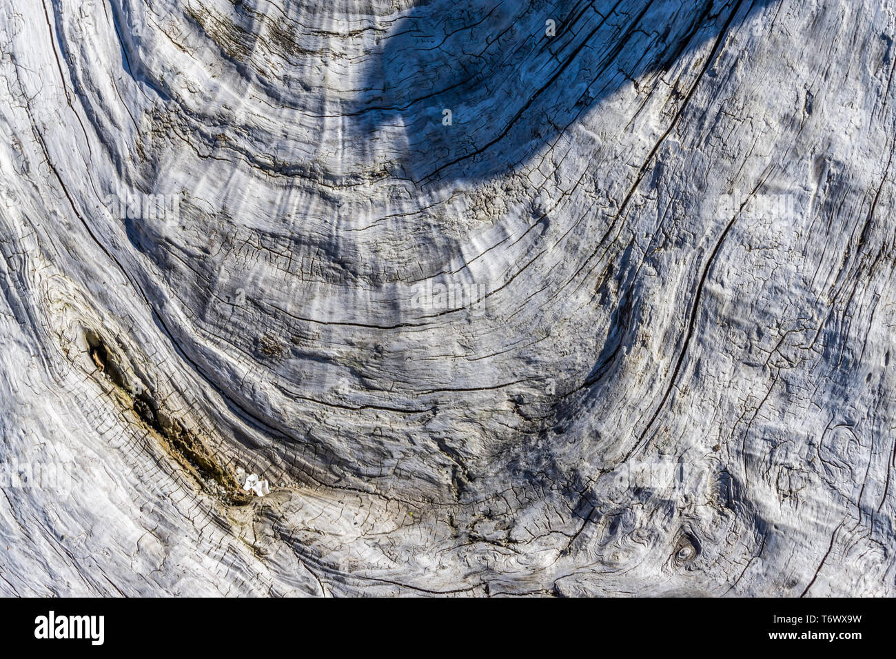 Log lines hi-res stock photography and images - Alamy