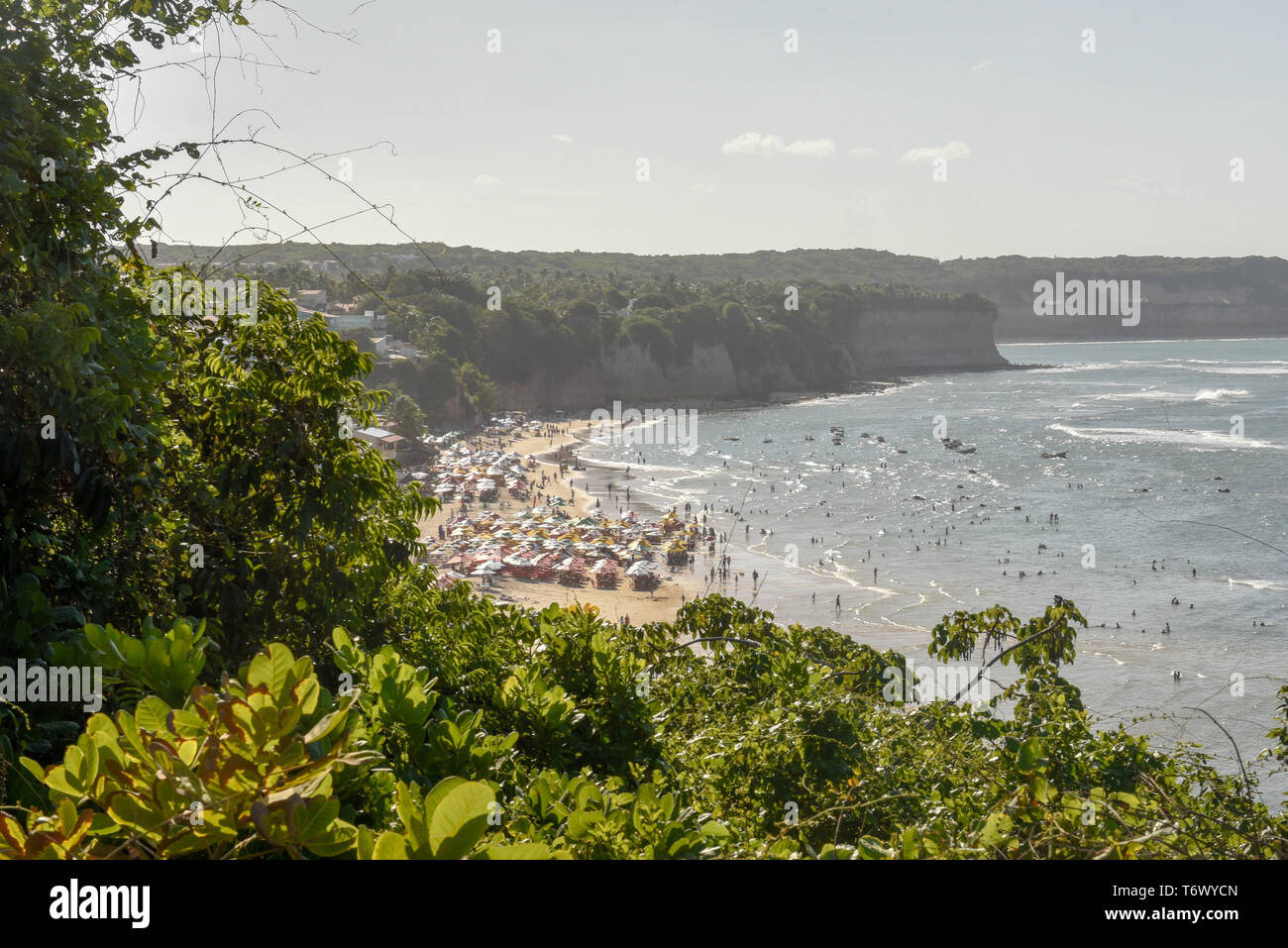 Pipa brasil hi-res stock photography and images - Alamy