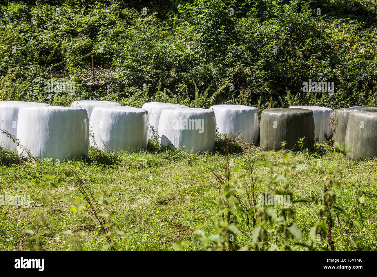 Fodder storage hi-res stock photography and images - Alamy