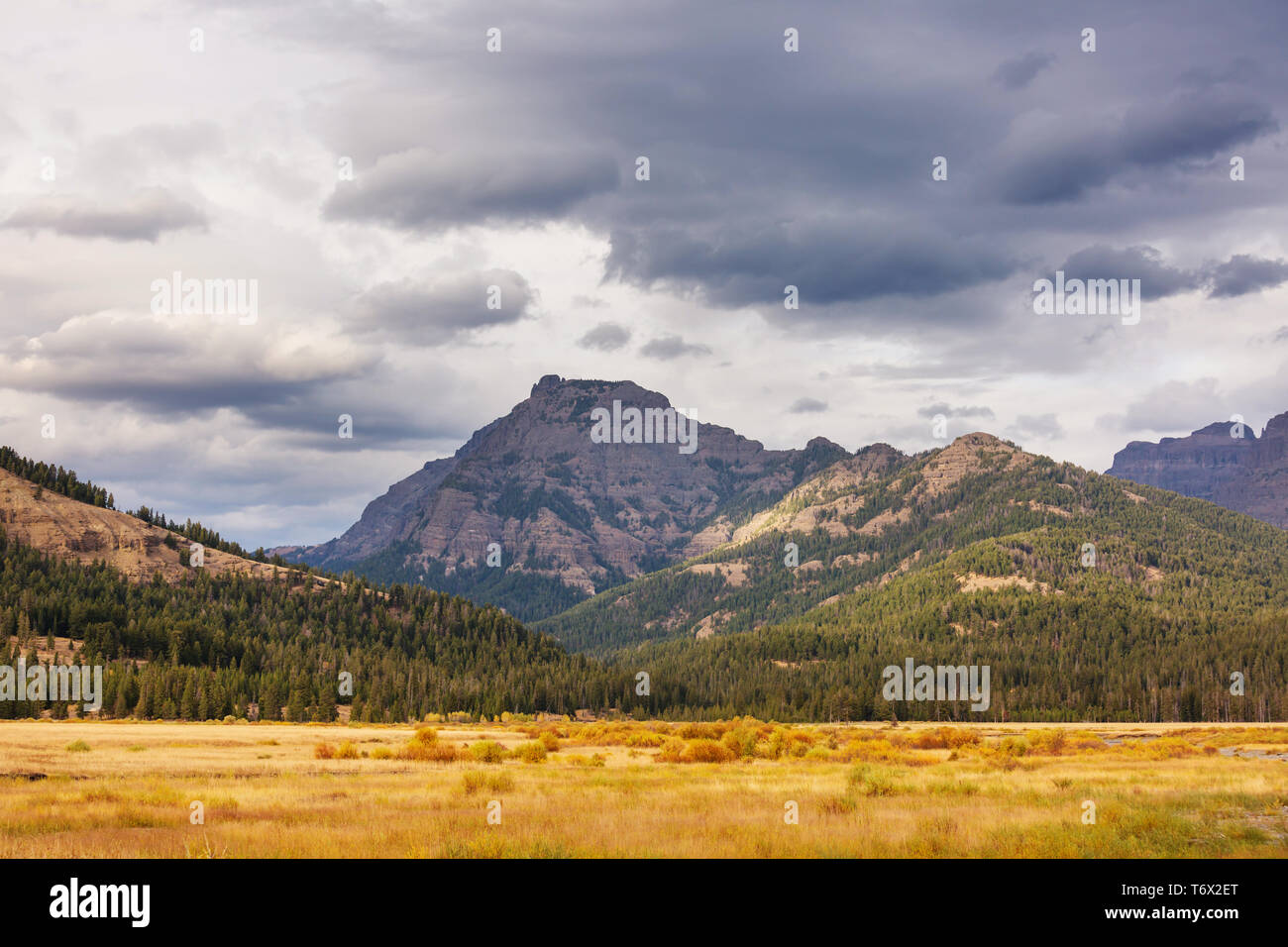 Yellowstone montana mountain hi-res stock photography and images - Alamy