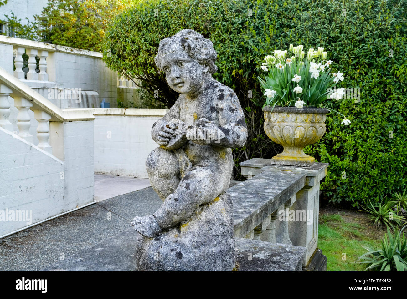 Cherub, garden adornment, , Hatley Park, Colwood, (Victoria) British ...