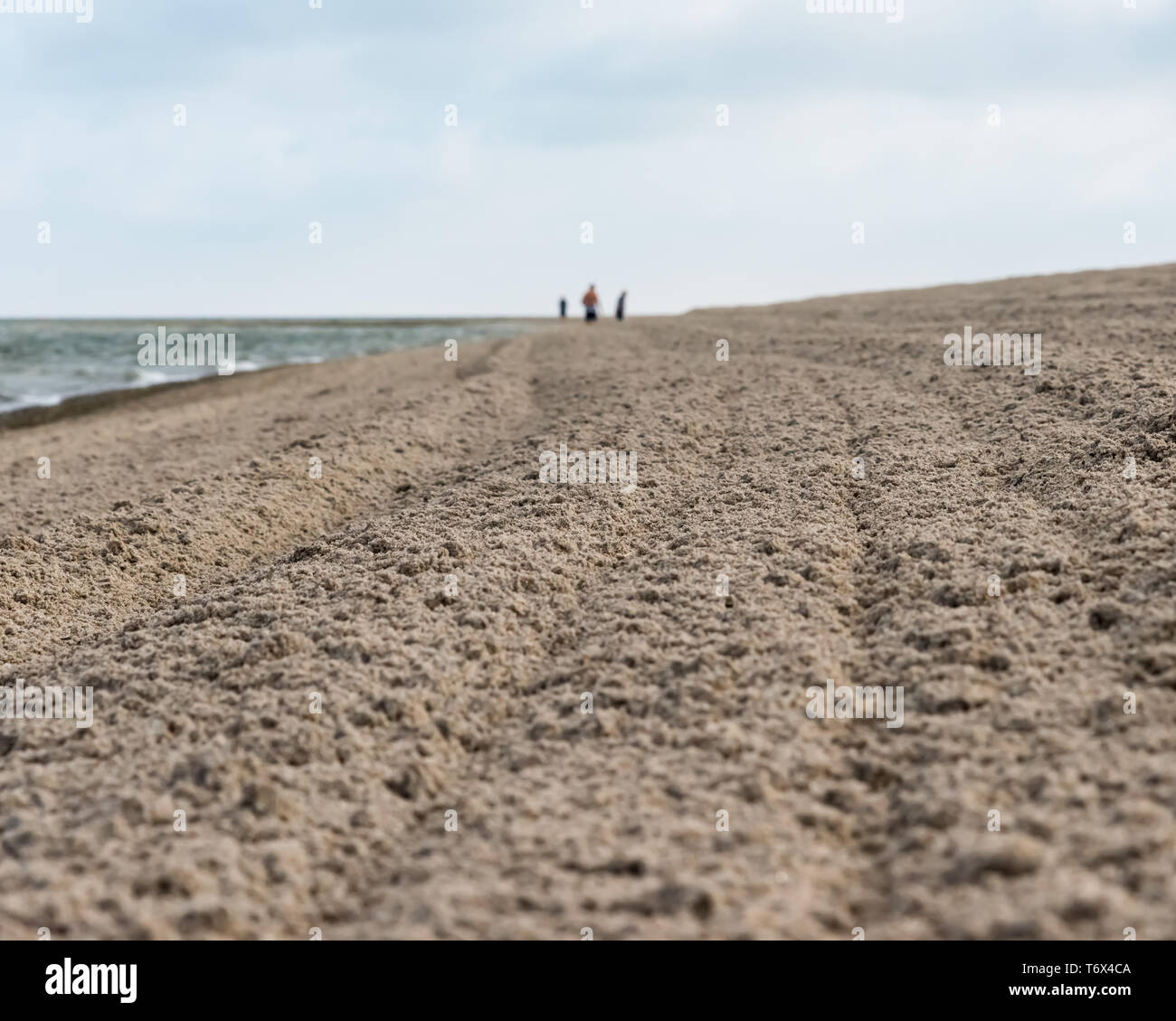 The three at the sea in the morning Stock Photo - Alamy