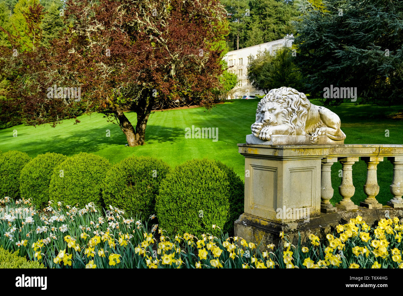 Sleeping Lion, garden adornment, , Hatley Park, Colwood, (Victoria ...