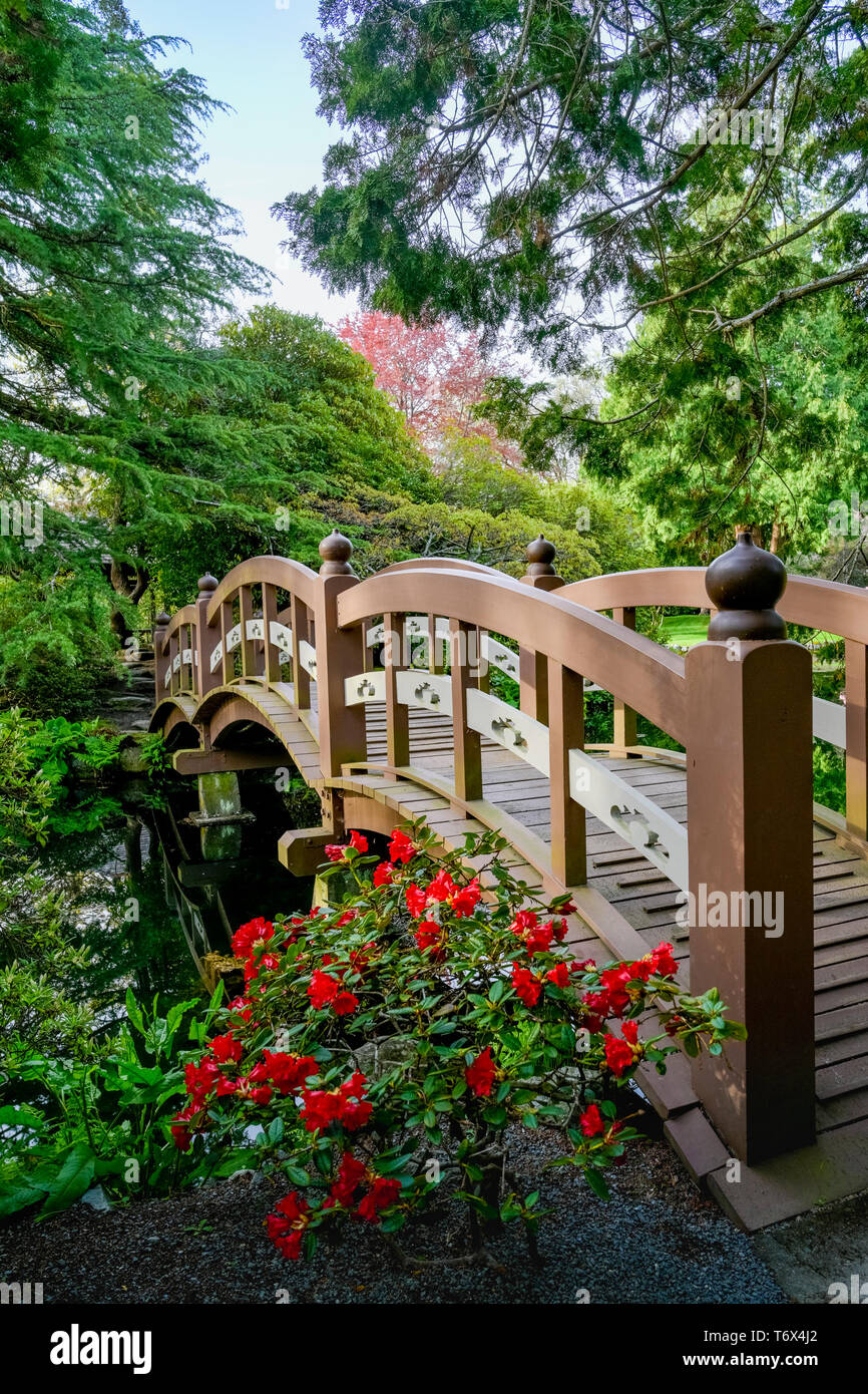 Japanese Gaeden, Hatley Park Gardens, Hatley Park, Colwood, (Victoria ...