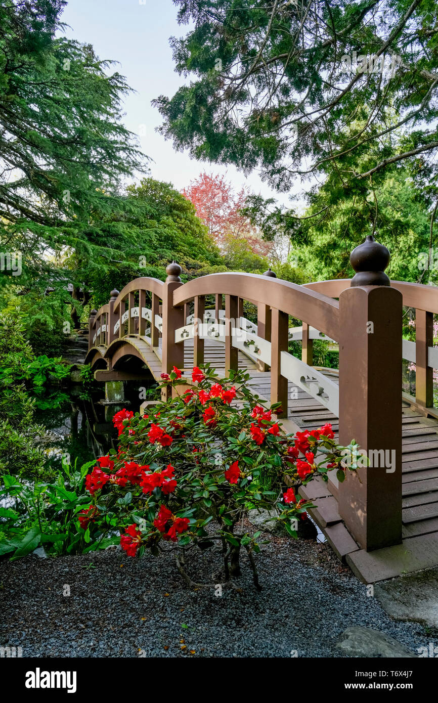 Japanese Gaeden, Hatley Park Gardens, Hatley Park, Colwood, (Victoria ...