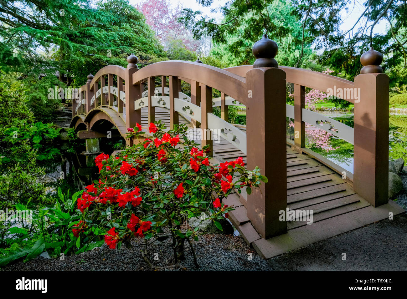 Japanese Gaeden, Hatley Park Gardens, Hatley Park, Colwood, (Victoria ...