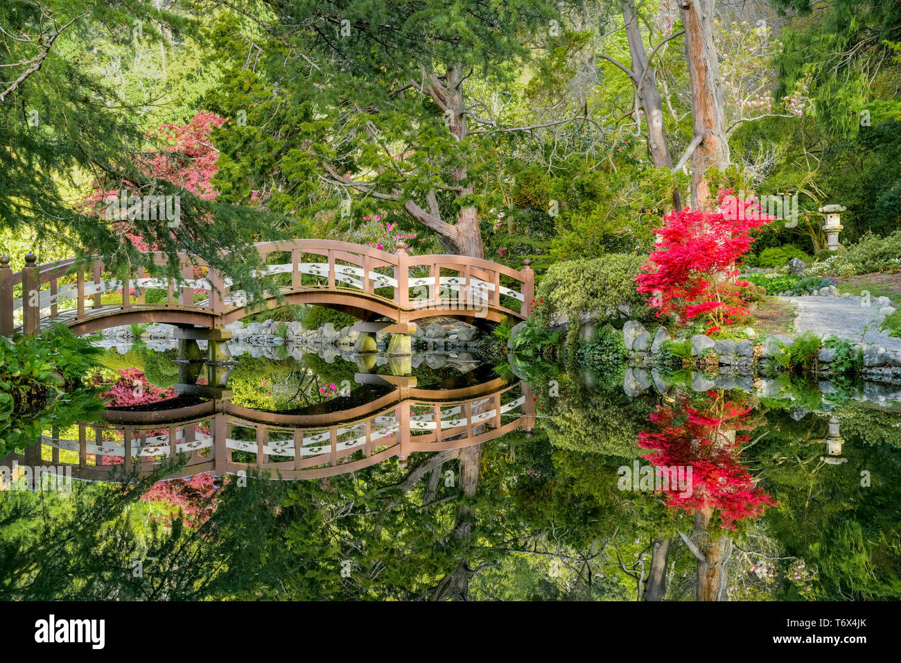 Japanese Gaeden, Hatley Park Gardens, Hatley Park, Colwood, (Victoria ...