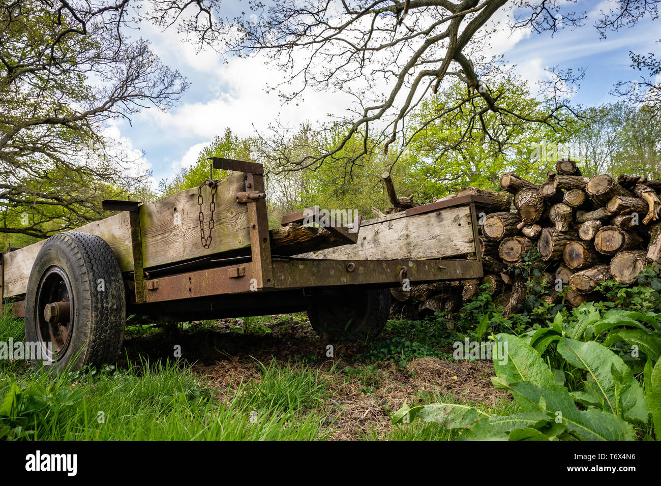 Abandoned wooden trailer Stock Photo - Alamy