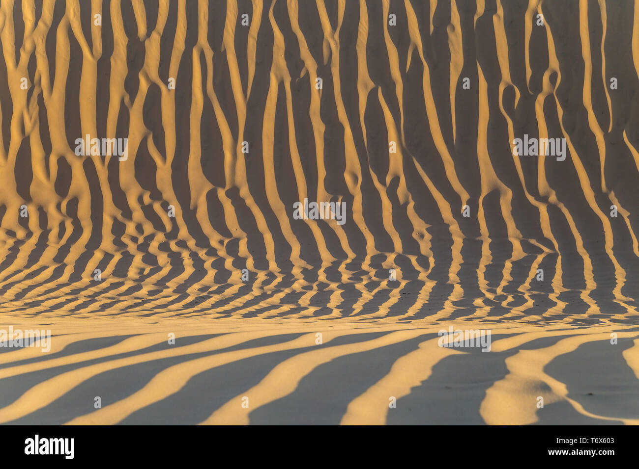 Granular pattern hi-res stock photography and images - Alamy