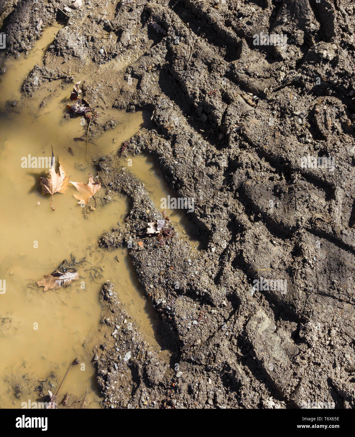 Car wheel tracks hi-res stock photography and images - Alamy