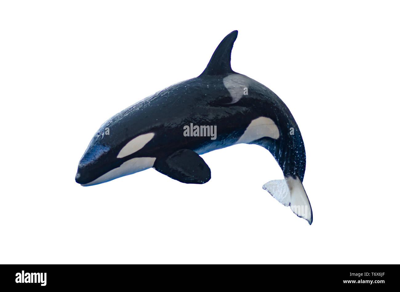 Ocean breach Cut Out Stock Images & Pictures - Alamy