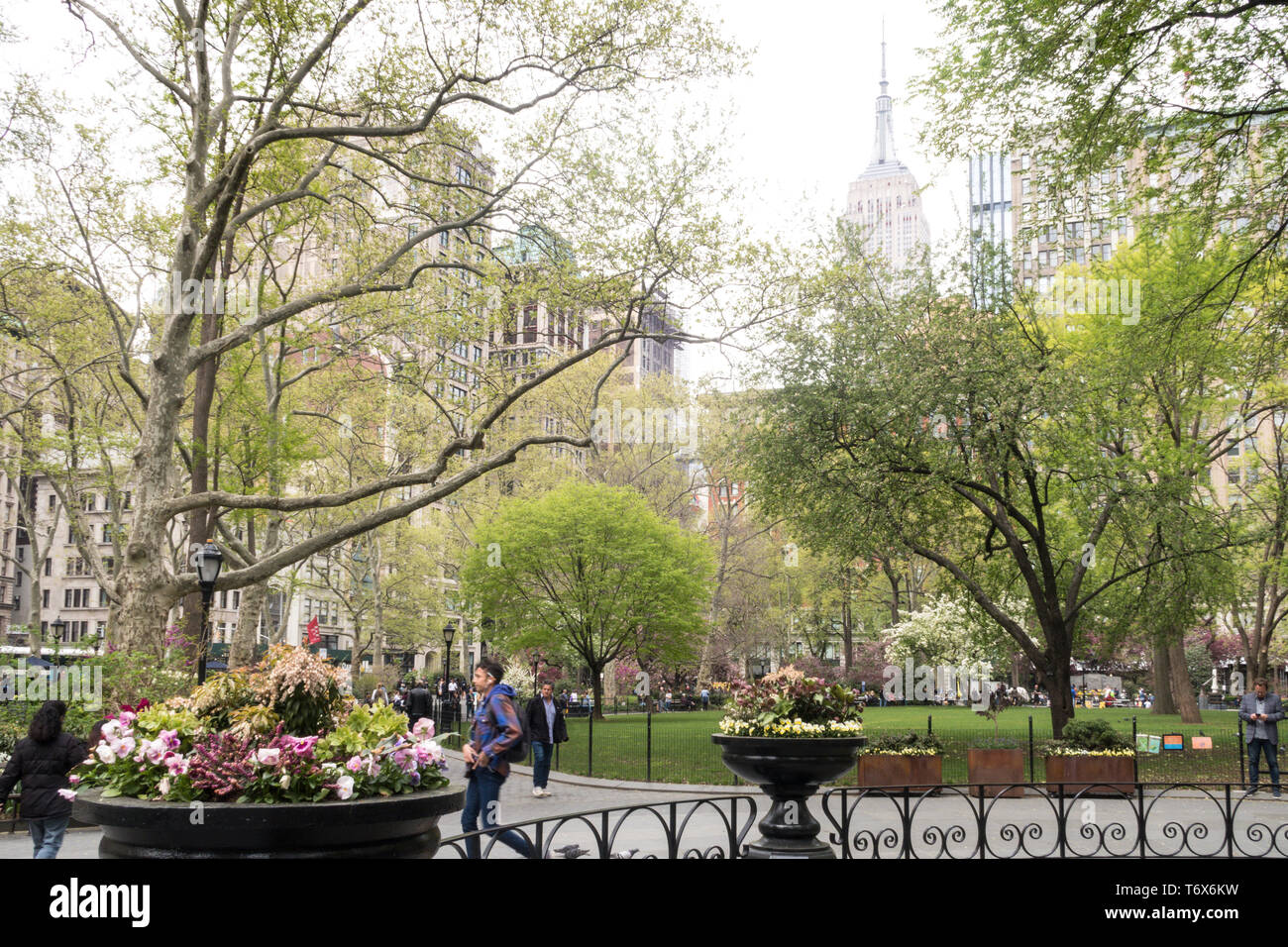 Madison Square Park in Springtime with the Empire State Building in ...