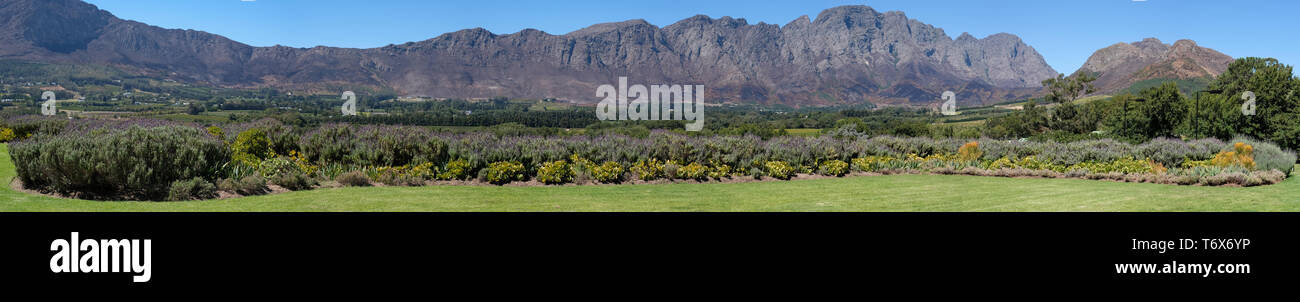 Panoramic photo of the Franschhoek valley taken from Mont Rochelle Wine ...