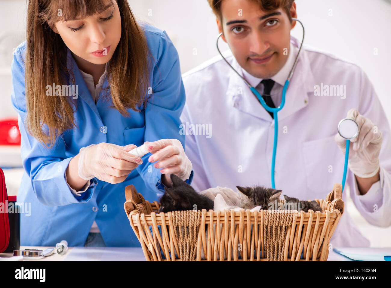 Vet listening cats heartbeat hi-res stock photography and images - Alamy